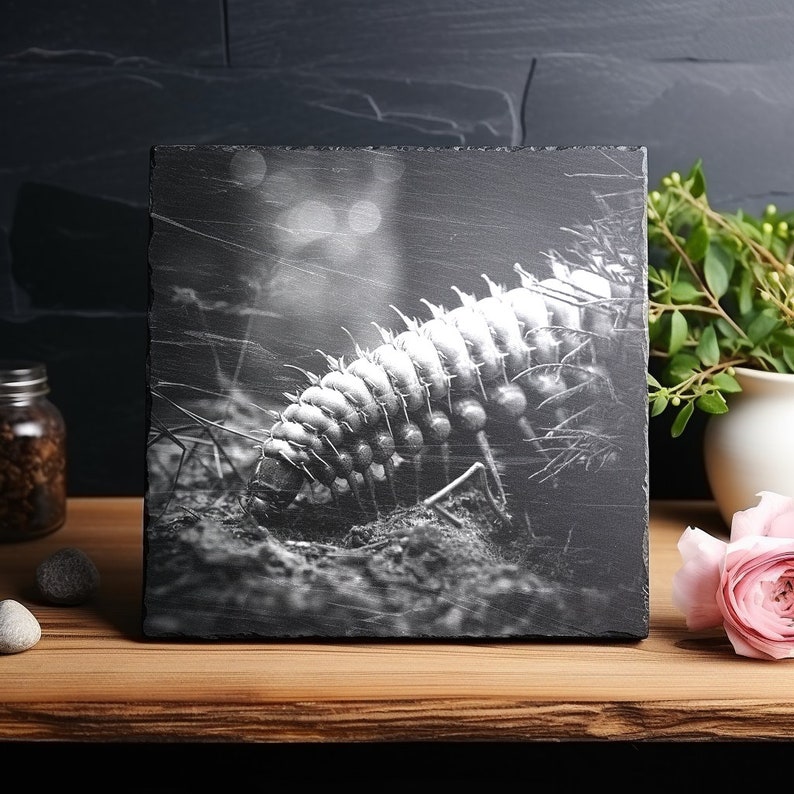 Worm Laser Engrave File PNG Worm Laser File Worm Slate File Worm ...