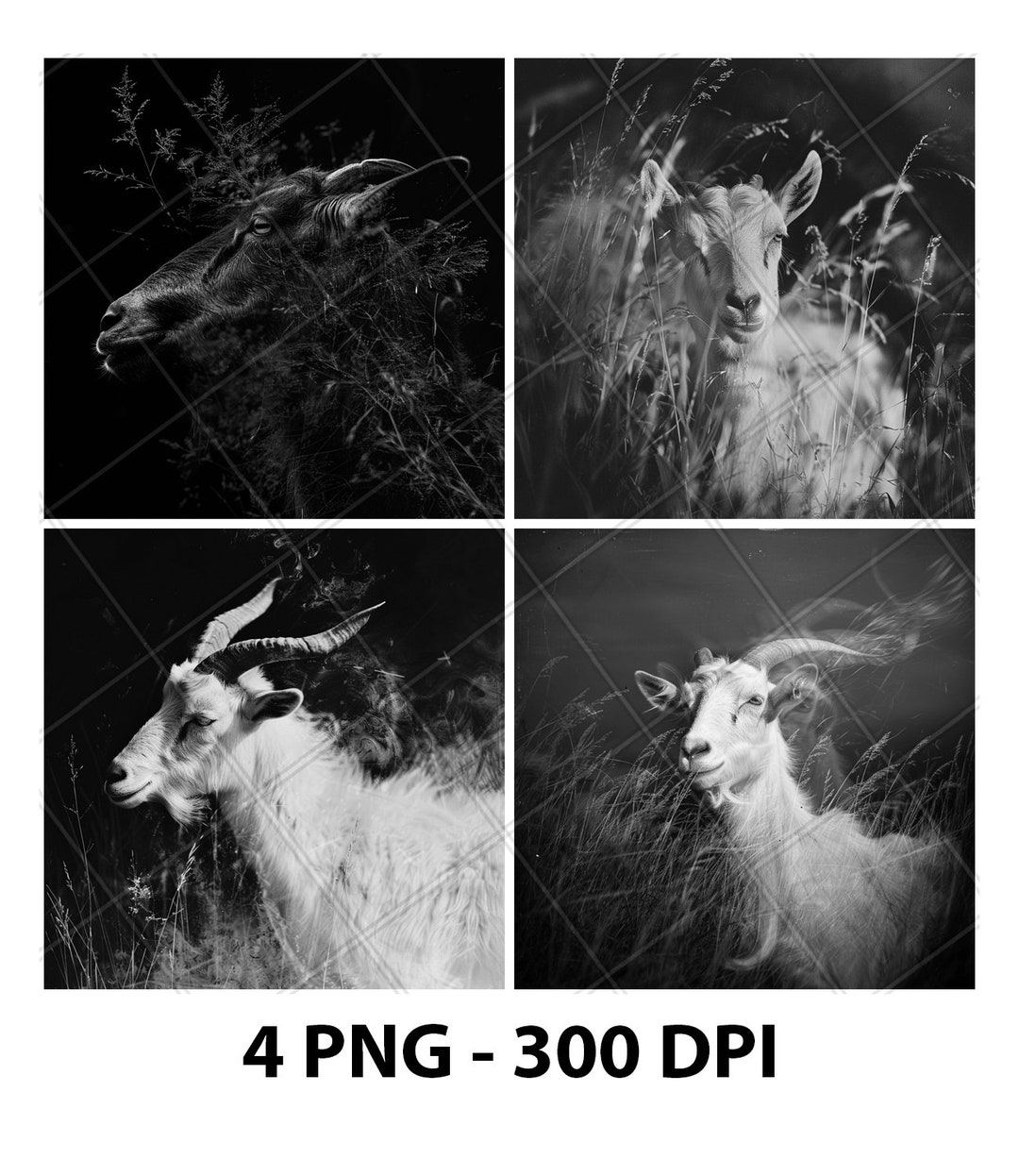 Goat Laser Engrave File PNG Goat Laser File Goat Slate File Goat ...