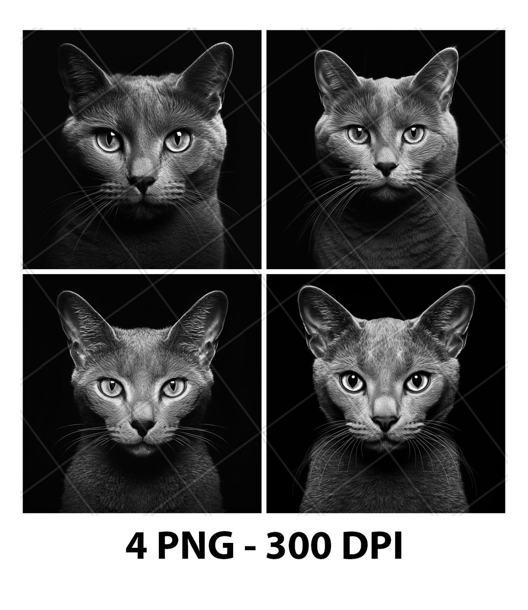 Russian Blue Cat Laser Engrave File PNG Cat Laser File Cat Slate File ...