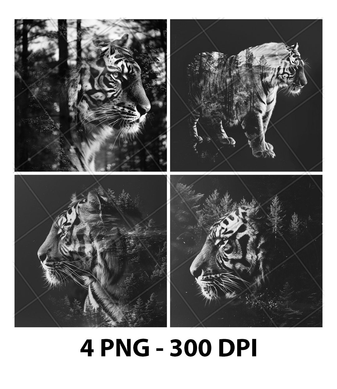 Tiger Laser Engrave File PNG Tiger Laser File Tiger Slate File Tiger ...