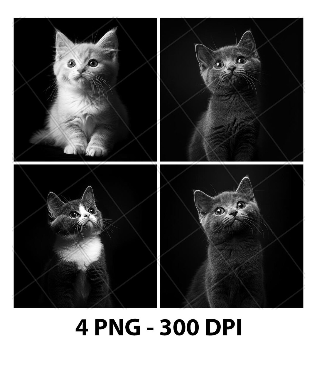 Munchkin Cat Breed Portrait Laser Engrave File PNG Munchkin Laser ...