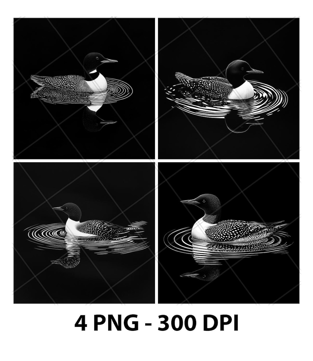 Loon Bird Canada Lake Pond Laser Engrave File Loon Bird Laser PNG Loon ...