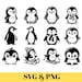 Penguin Clipart Bundle: SVG, PNG Cut Files (300dpi) - Etsy