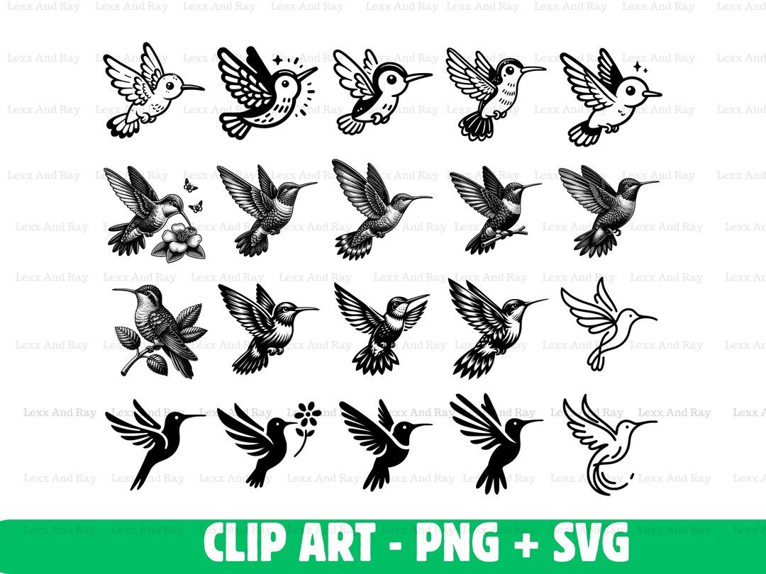 Hummingbird SVG & PNG Bundle, Hummingbird Bundle Svg, Hummingbird ...