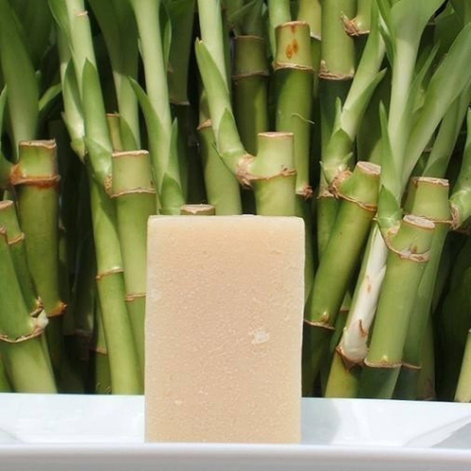 Island Lime Handmade Cold Process Soap Bar 4oz Coconut Lime - Etsy