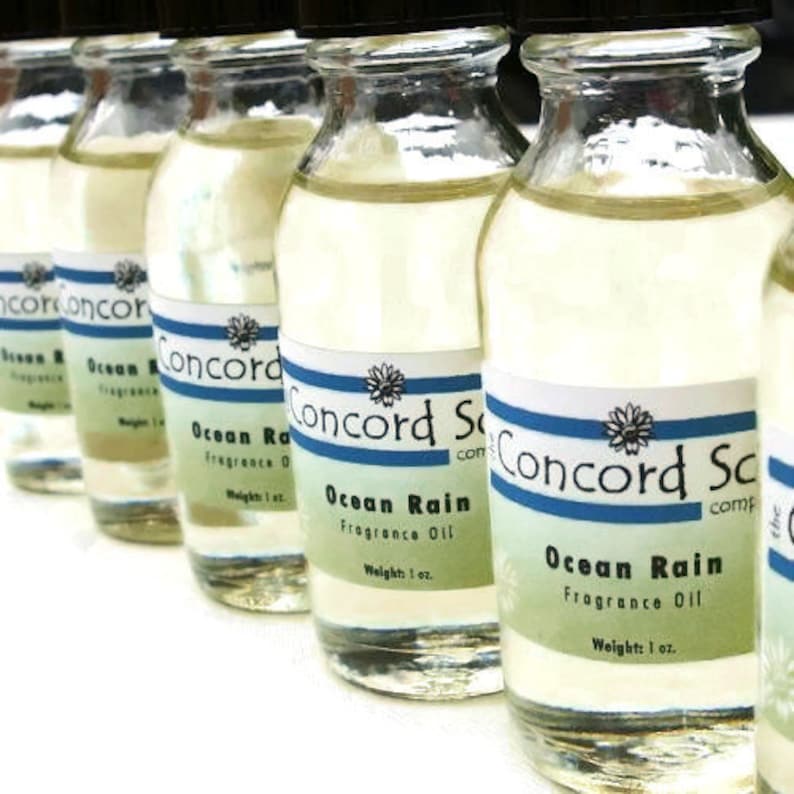 Ocean Rain Refresher Oil Home Fragrance, Fresh Clean Scent, Undiluted ...