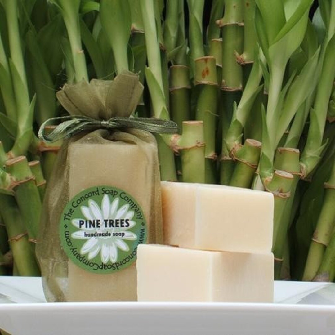 Pine Trees Handmade Cold Process Soap Bar, 4oz - Woodsy Scent, Natural ...