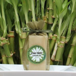 Pine Trees Handmade Cold Process Soap Bar, 4oz - Woodsy Scent, Natural ...