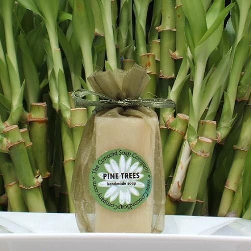 Pine Trees Handmade Cold Process Soap Bar 4oz Woodsy Scent - Etsy