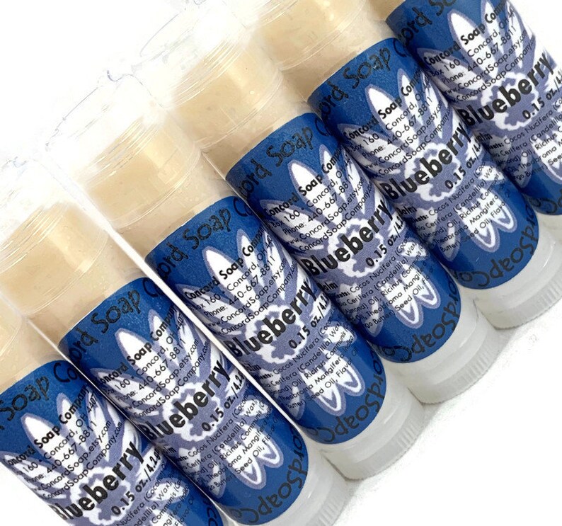 Blueberry Handmade Lip Balm Stick Fruit Flavor Vegan | Etsy