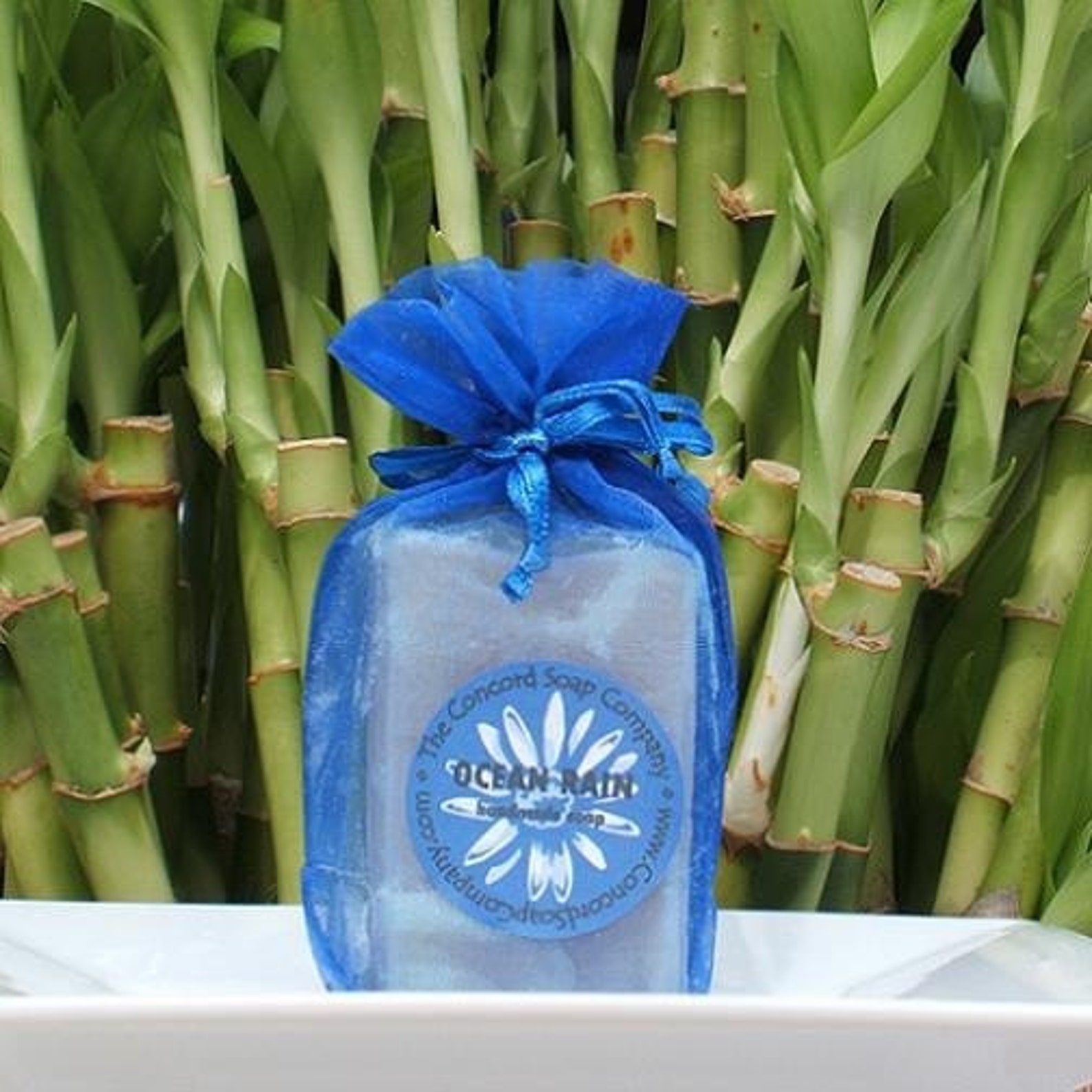 Ocean Rain Handmade Cold Process Soap Bar 4oz Fresh Breeze - Etsy