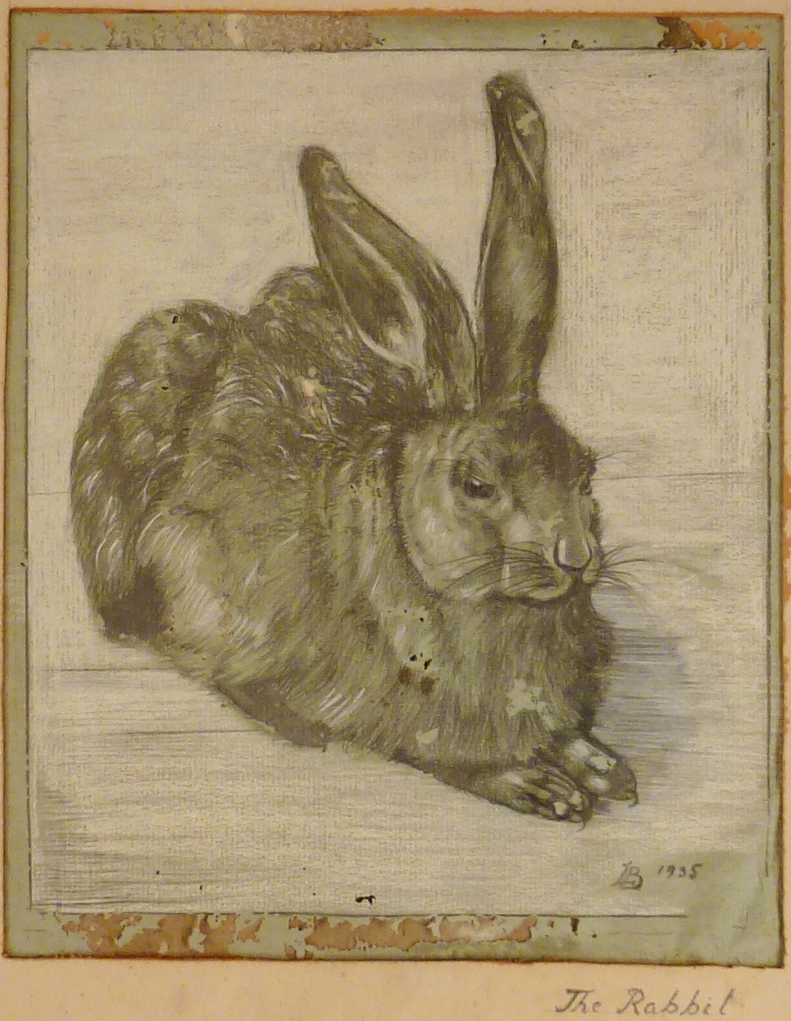 RABBIT Charcoal drawing Copy of Durer The Rabbit signed by | Etsy