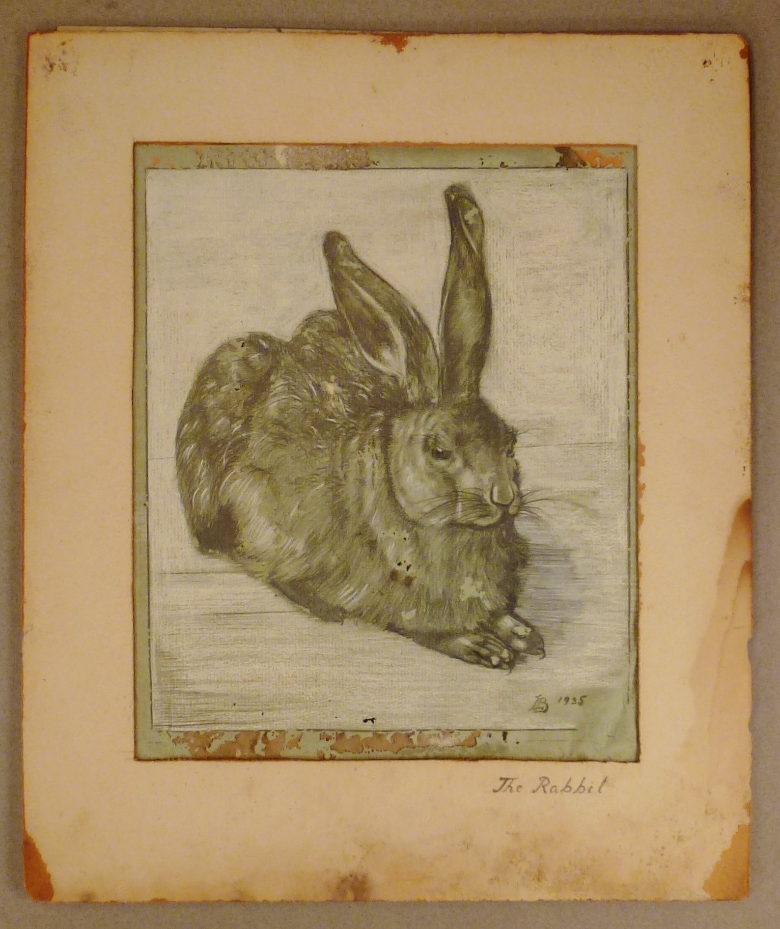 RABBIT Charcoal drawing Copy of Durer The Rabbit signed by | Etsy