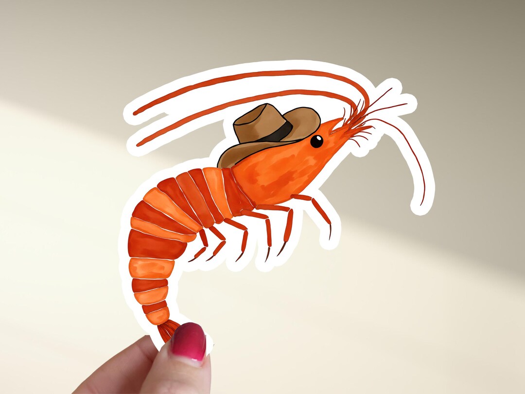 Yeehaw Shrimp Cowboy Watercolor Sticker, Bumper Sticker, Car Magnet - Etsy