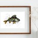A3 Digital Print of a Perch | Fish Art Print | Hand Drawn Animal ...