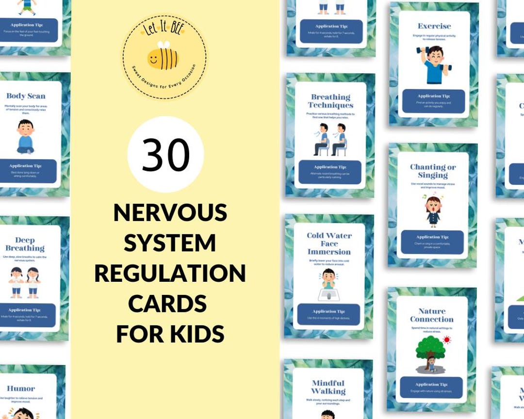 Nervous System and Sensory Regulation Activity Cards 30 Colorful ...