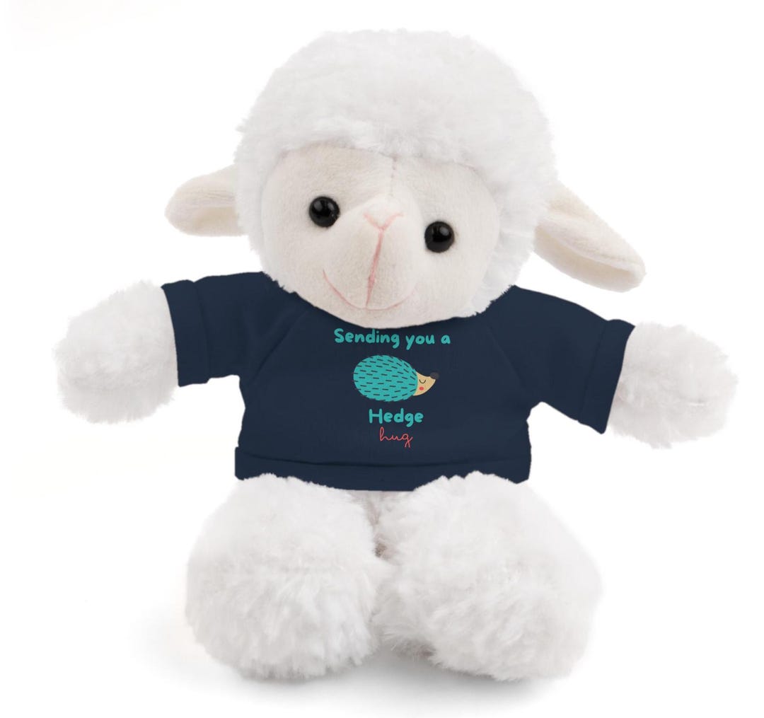 Sending A Hedge Hug Huggable Stuffed Animal Gift Sweet Sentiment Plush ...