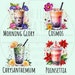 Birth Flower Boba Tea Clipart Set, 12 Pngs, Boba Clipart, Birth Flower ...
