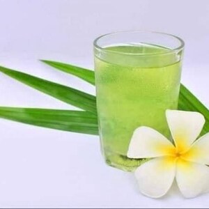 Pandan Tea.pandan Leaf Tea.herbal Tea.natural Tea.fragrant Pandan ...