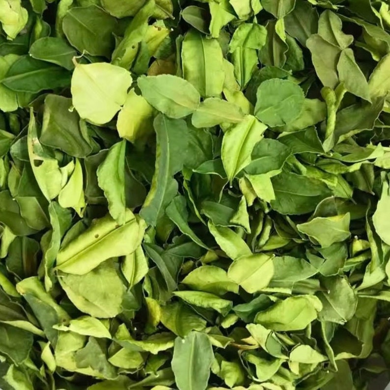 Organic Kaffir Lime Leaves for Tom Yum Cooking Herbs Thai Food Gift for ...