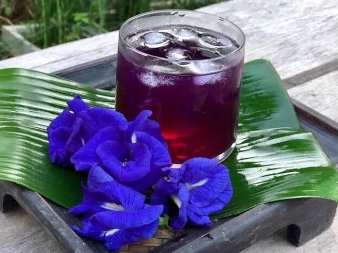 Butterfly Pea Flower Tea.dried Butterfly Pea Flowers.herbal Tea.organic ...