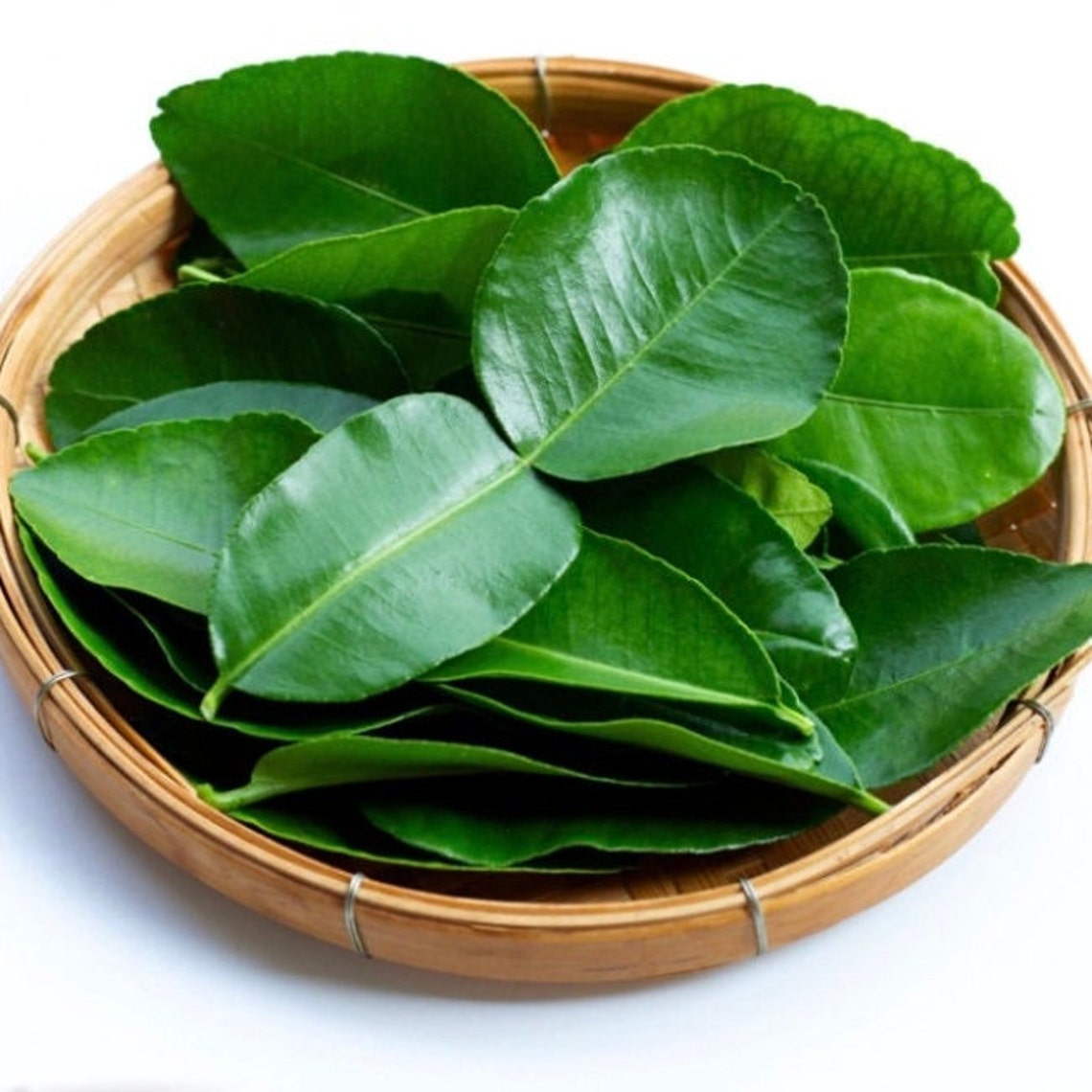 Organic Kaffir Lime Leaves for Tom Yum Cooking Herbs Thai Food Gift for ...