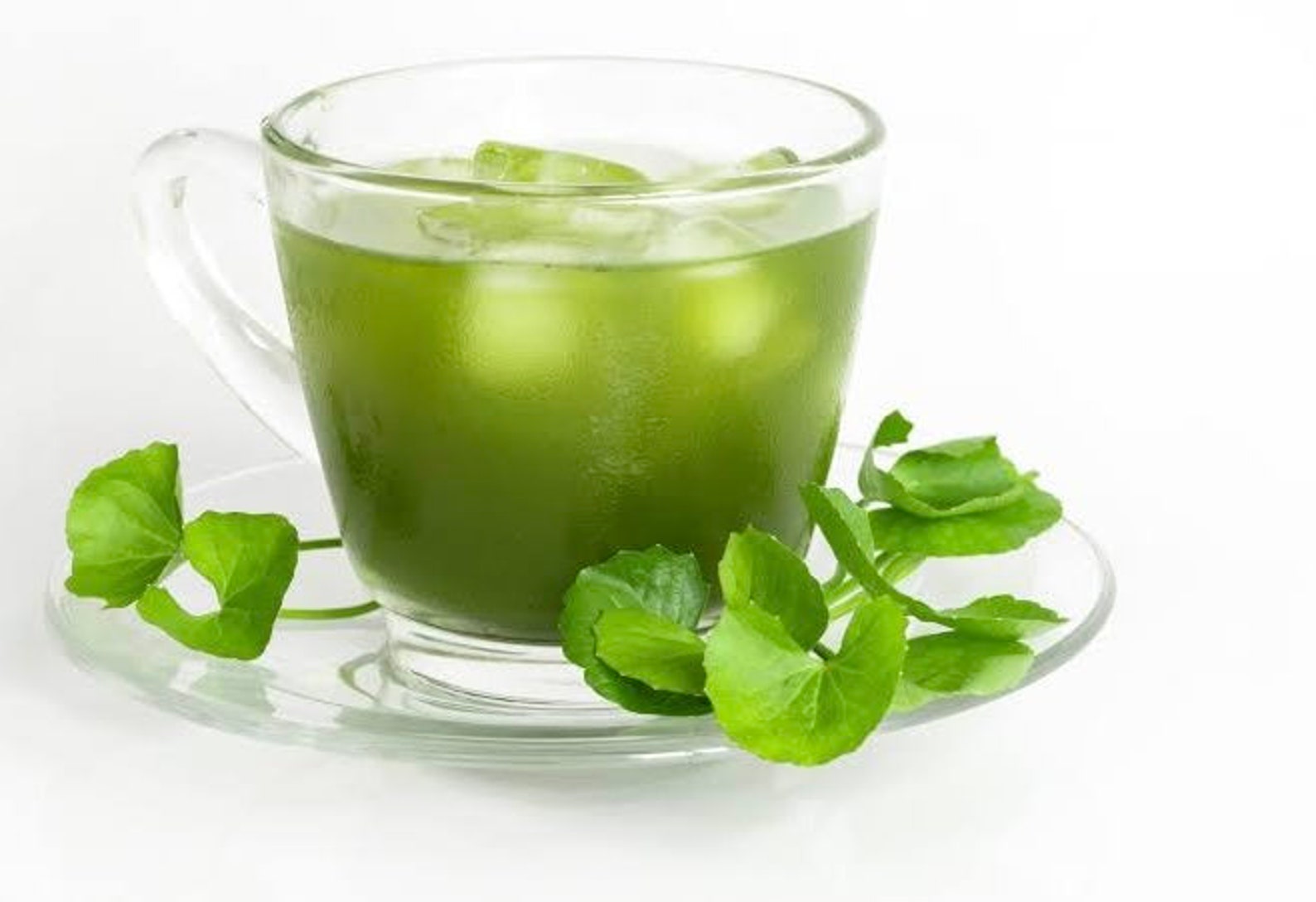 Gotu Kola Tea.centella Asiatica Tea.herbal Tea.natural Gotu Kola.dried ...