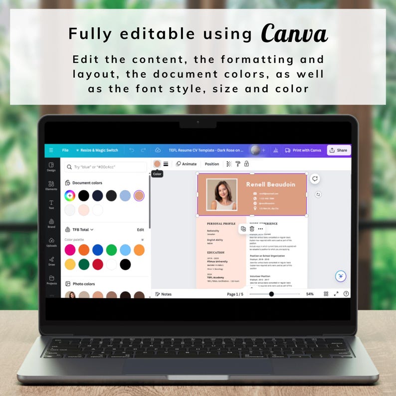 TEFL Resume Template Canva, Teaching Resume Template, Teacher Resume ...