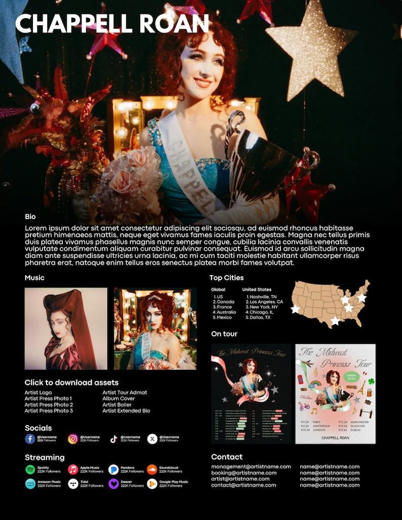 Artist One Sheet Template - Etsy