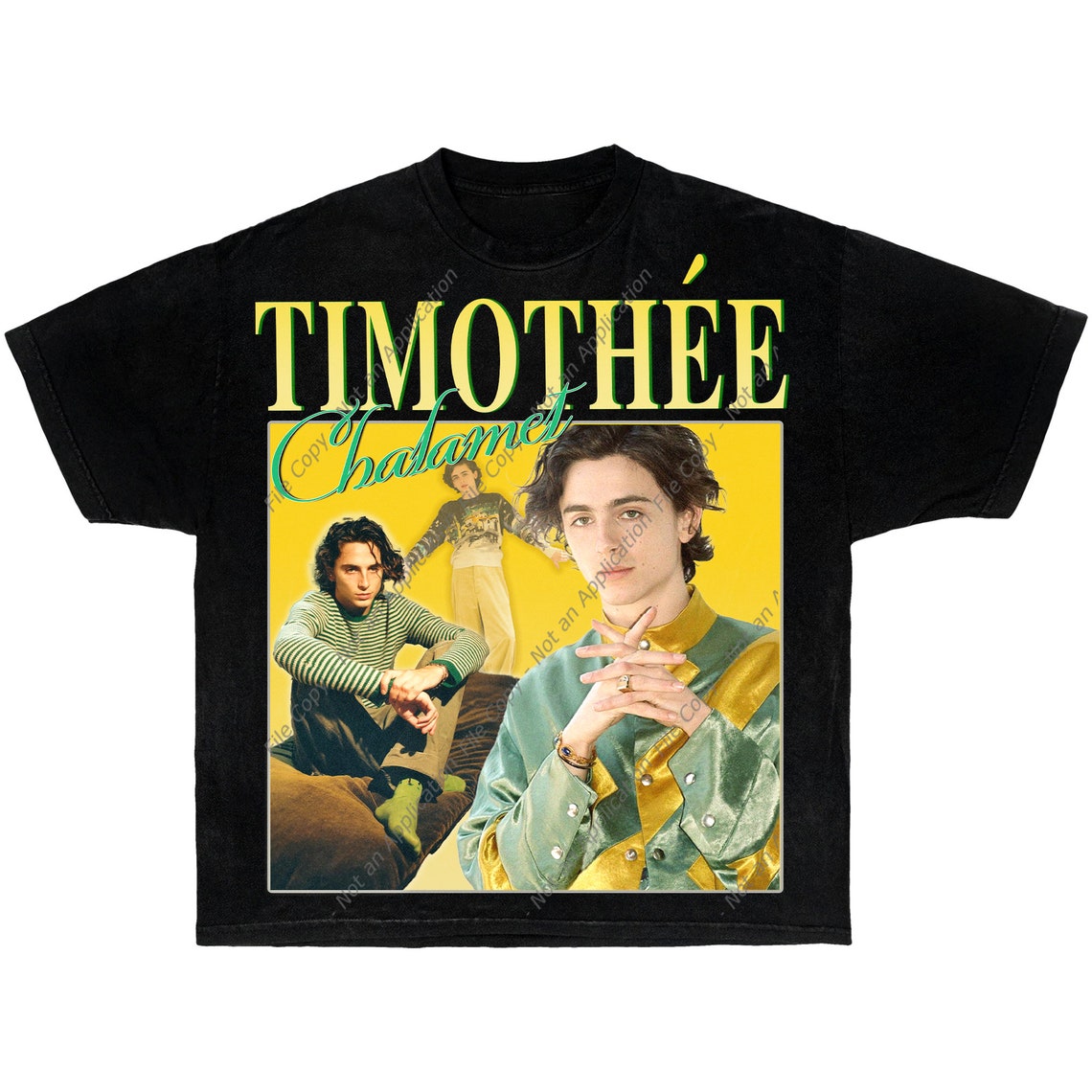 Timothee Chalamet Spring Sign Designs, Timothee Chalamet Digital ...