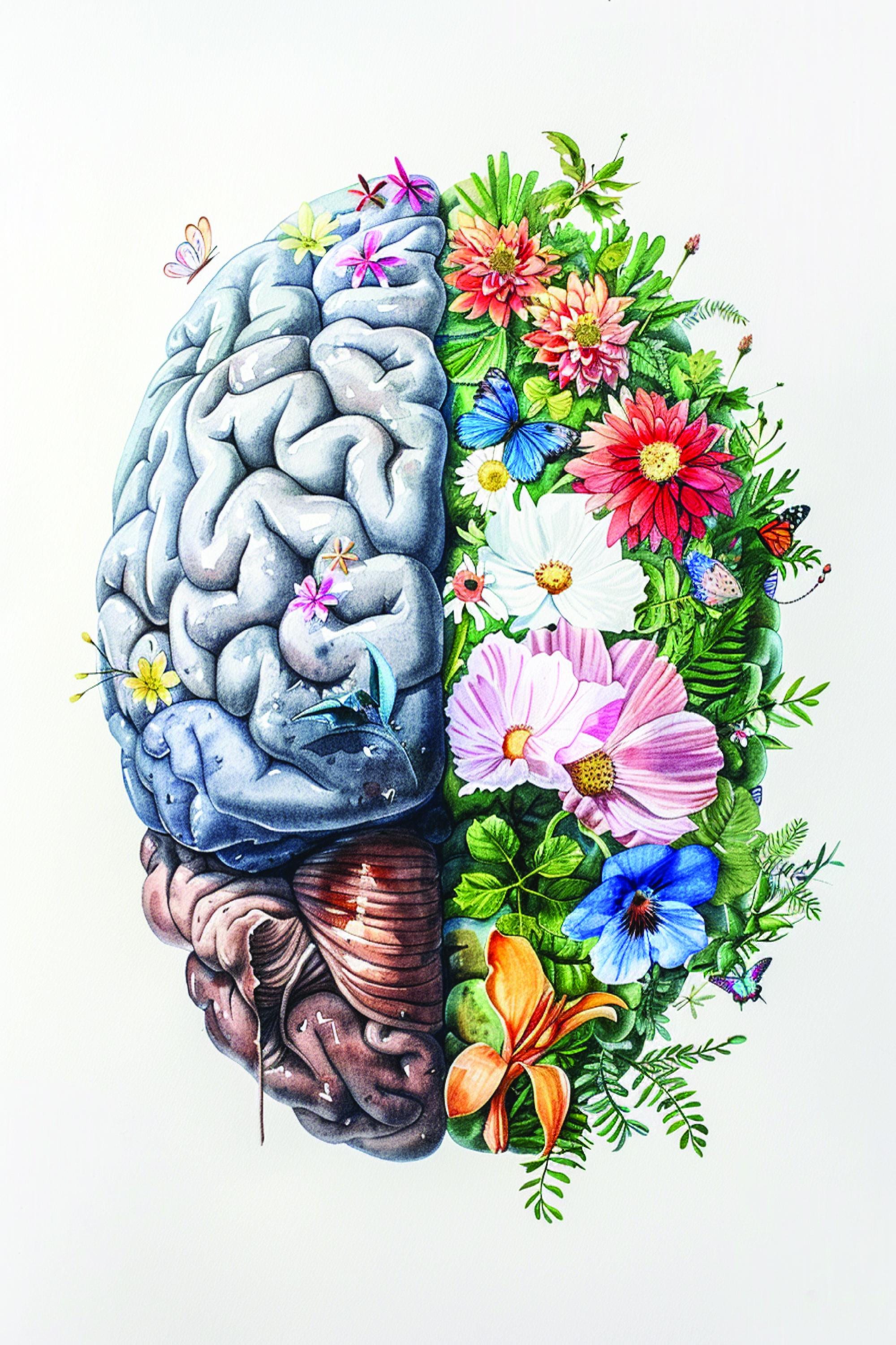 Psychology. Human Psychology. Mental Health Art. Brain Art. Therapist ...