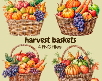 Watercolor Autumn Clipart 4 PNG. Fall Harvest Clipart Bundle - Etsy
