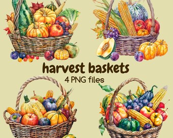 Watercolor Autumn Clipart 4 PNG. Fall Harvest Clipart Bundle - Etsy