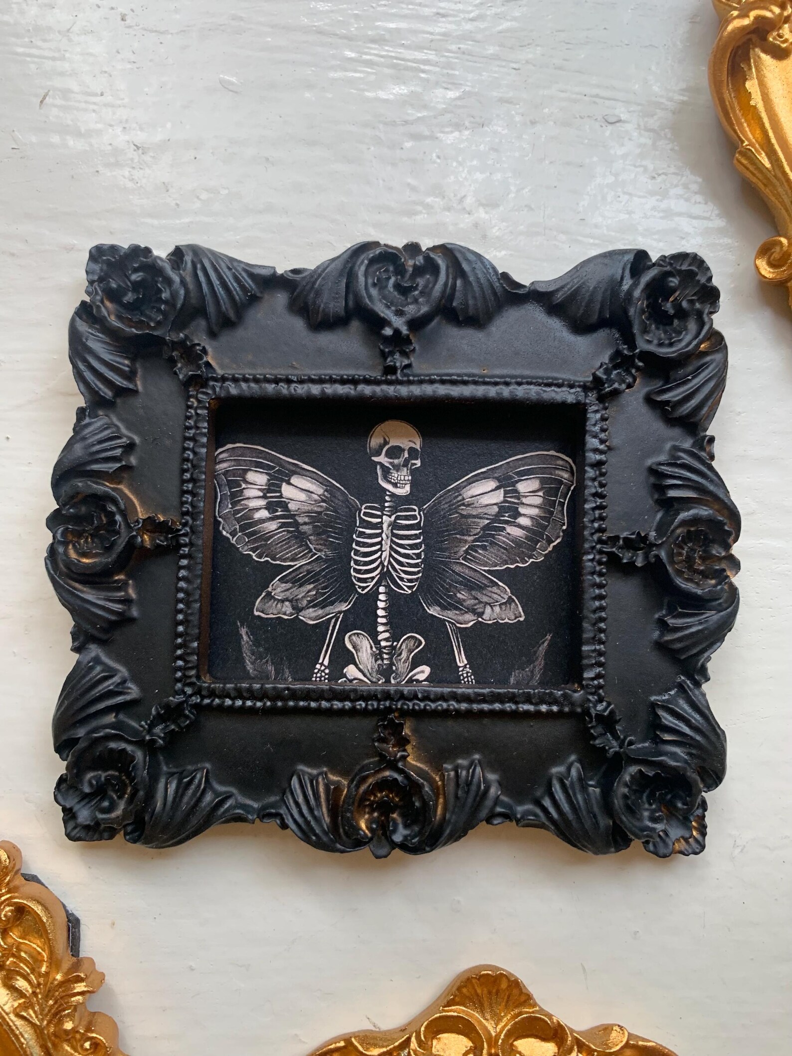 Mini Wall Art Oddities Curiosities Goth Gold Vintage Frame AI, Garden ...