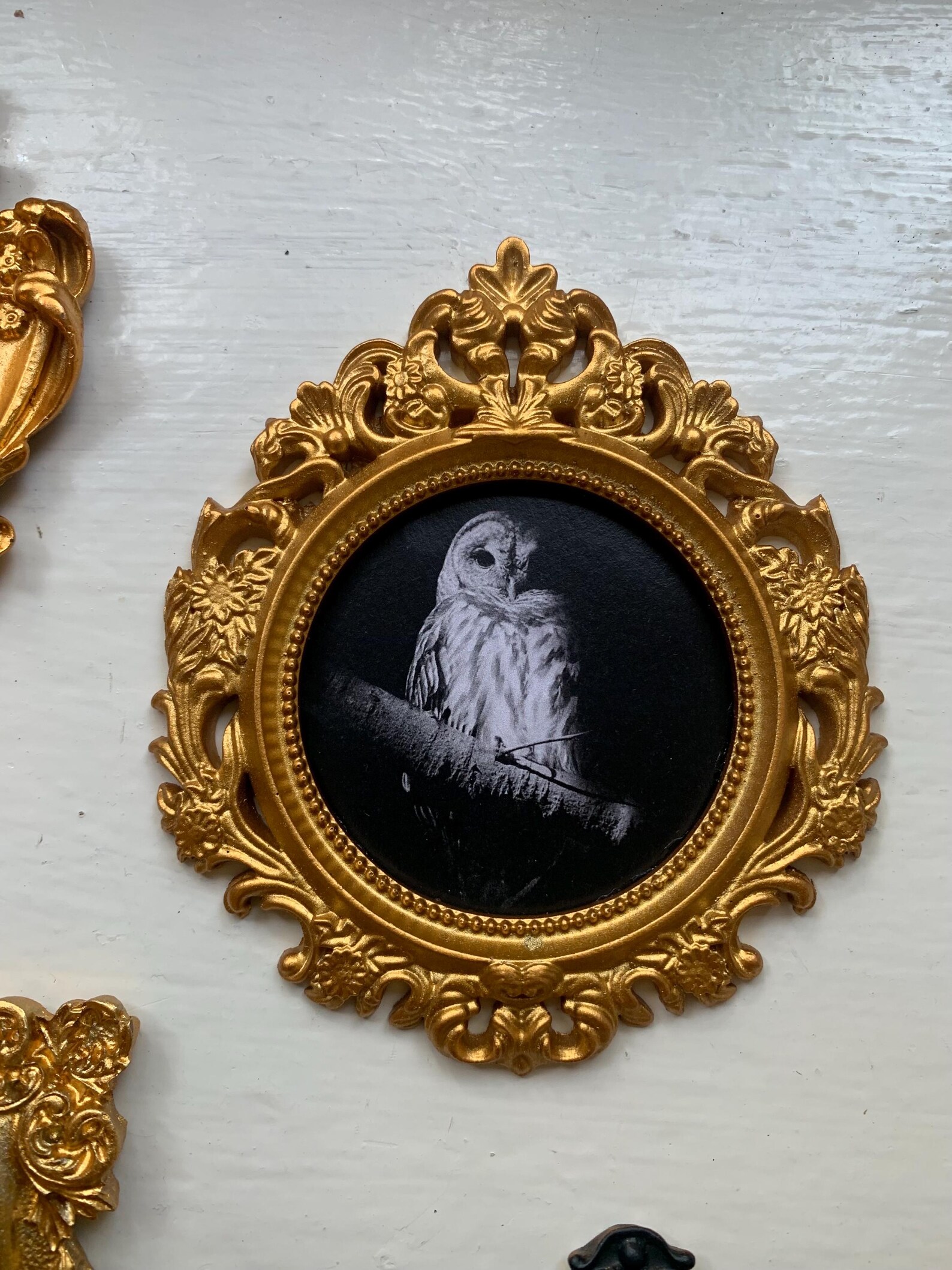 Mini Wall Art Oddities Curiosities Goth Gold Vintage Frame AI, Garden ...