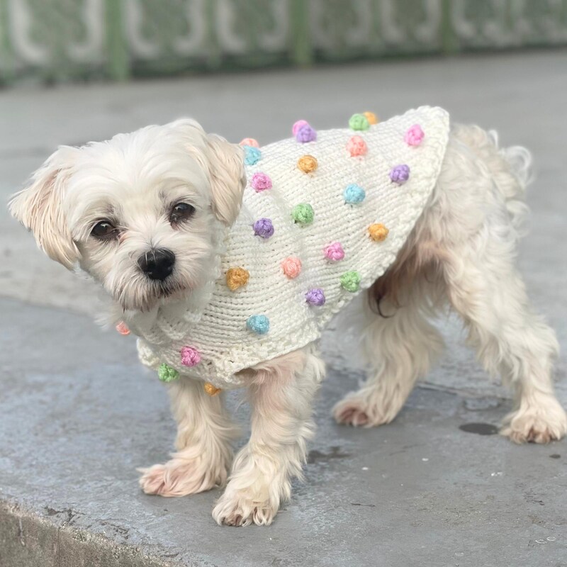 Maltese Clothes - Etsy