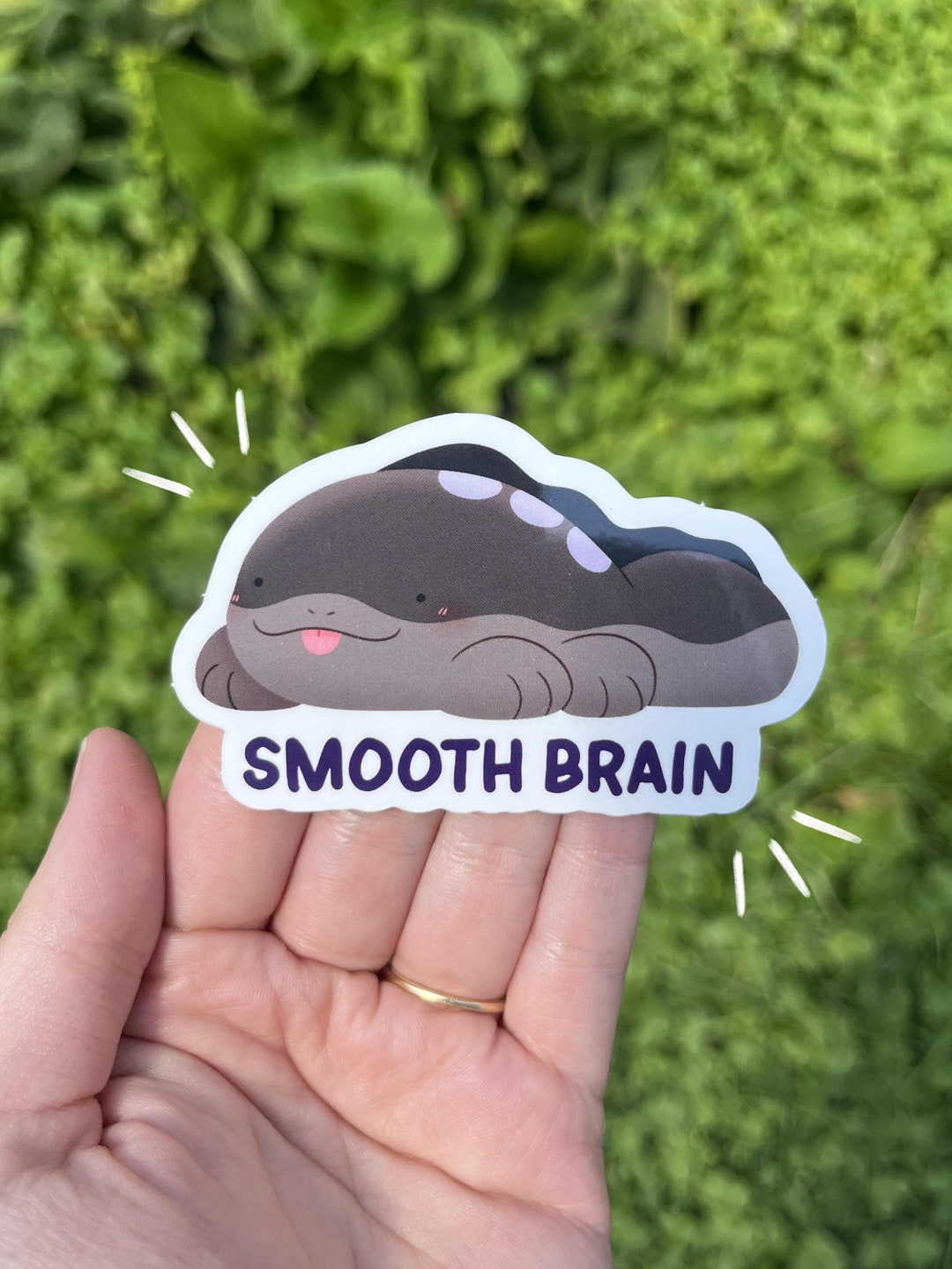 Clodsire Smooth Brain Sticker | Vinyl Waterproof Sticker for Laptop ...