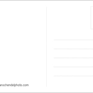 Buy Minnesota Birds Photography Postcards: Nature Art Set Online in ...