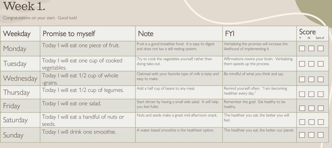 Introduction to Healthy Eating - Etsy