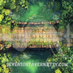 D&D Swamp Bridge Digital Map RPG Battle Map for Virtual Tabletop VTT - Etsy