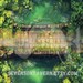 D&D Swamp Bridge Digital Map RPG Battle Map for Virtual Tabletop VTT - Etsy