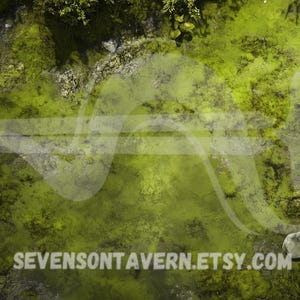 D&D Marsh Digital Map RPG Battle Map for Virtual Tabletop VTT - Etsy