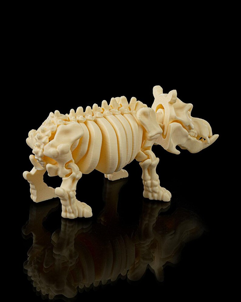 Articulate Hippo Skeleton - Etsy