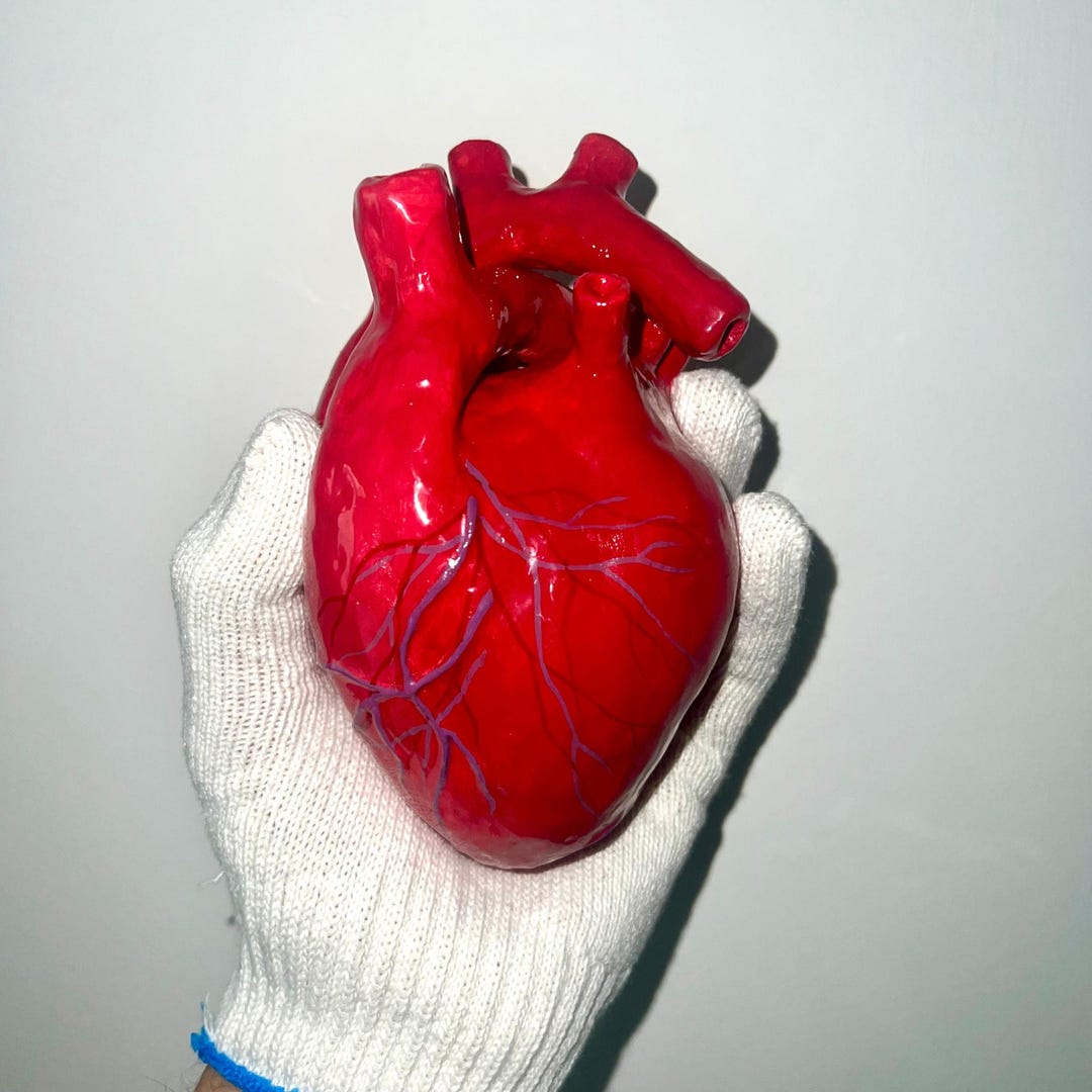 Life-sized Bloody Human Heart Prop Engraved Lovers' Keepsake ...