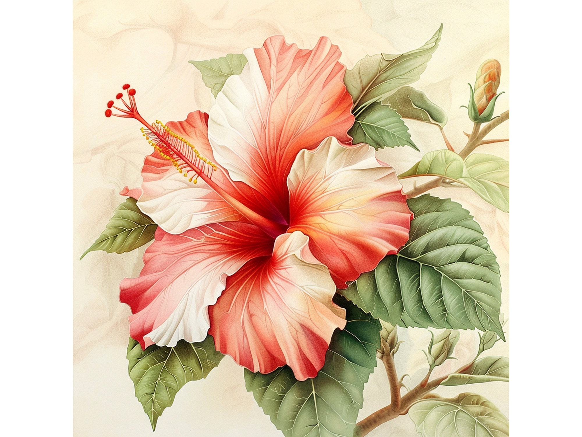 Hibiscus Flower Watercolor Clipart Bundle, Exotic Tropical Bloom Free ...