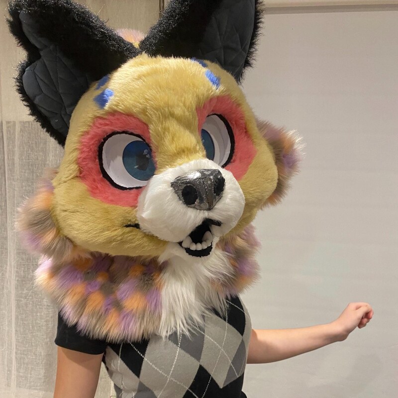 Cheap Fursuit - Etsy