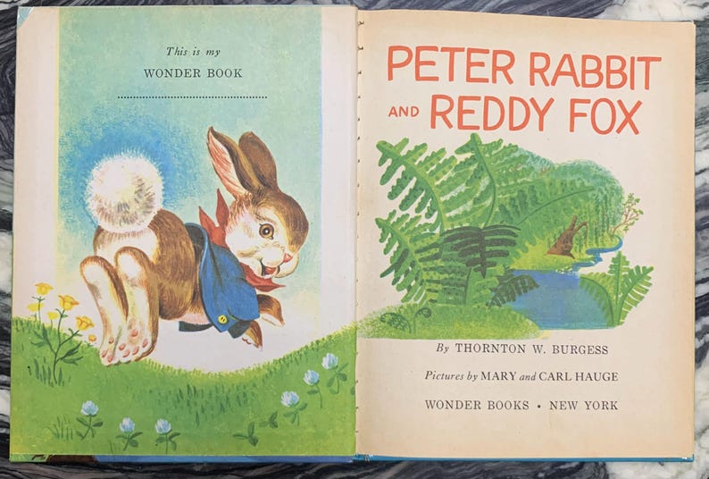 Vintage Book - Peter Rabbit and Reddy Fox, Thornton W Burgess, Pictures ...