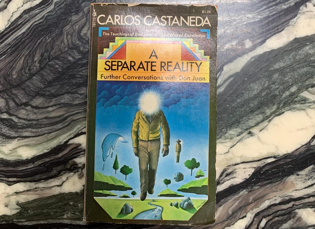 Vintage Book - Carlos Castaneda, a Separate Reality, Further Conversations With Don Juan, Pocket ...