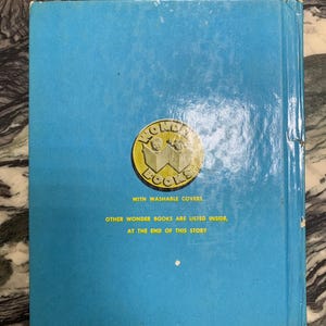 Vintage Book - Peter Rabbit and Reddy Fox, Thornton W Burgess, Pictures ...