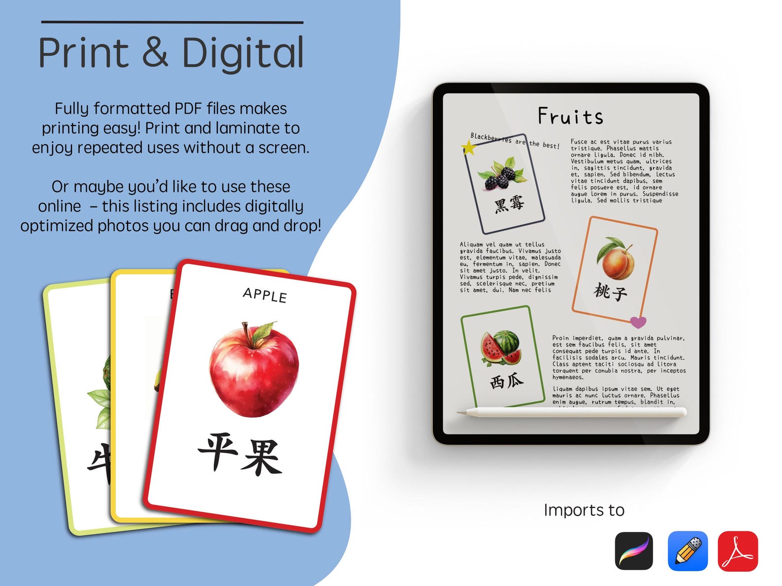 Simplified Chinese Fruit Flashcards Vocabulary Mandarin Bilingual ...